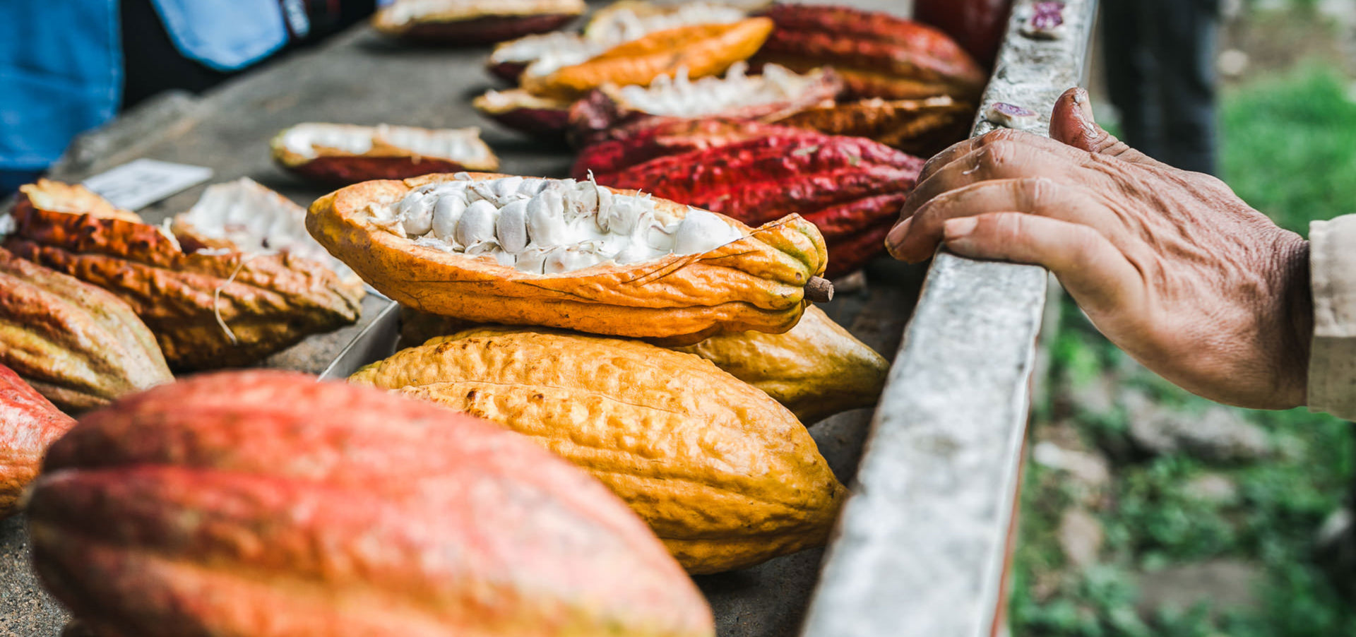 Exploding Bakery | Wholesale Cake Supplier | UK Next Day Delivery