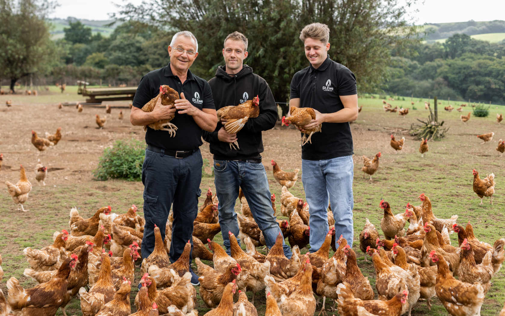 Exploding Bakery Ingredients - Eggs